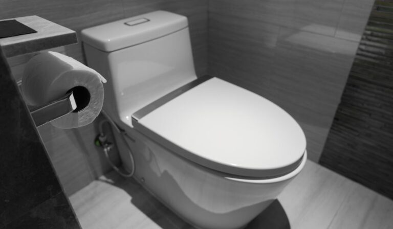 Do Toilets Need Electricity To Flush? - LifeHackLane